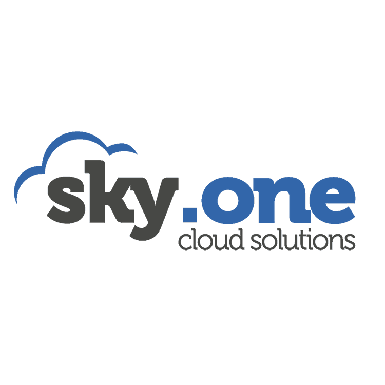SAP Platinum Partner | SEIDOR USA