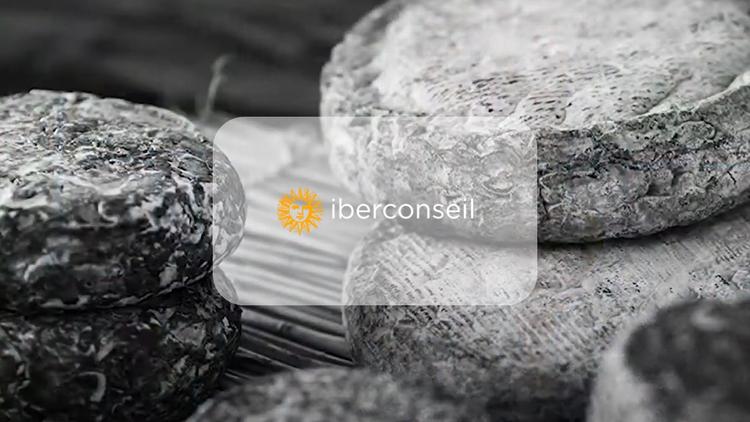 Business applications: Optimize processes & decisions