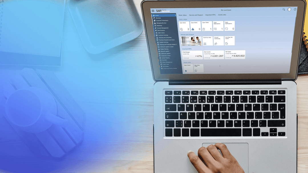 What is SAP software? | SEIDOR