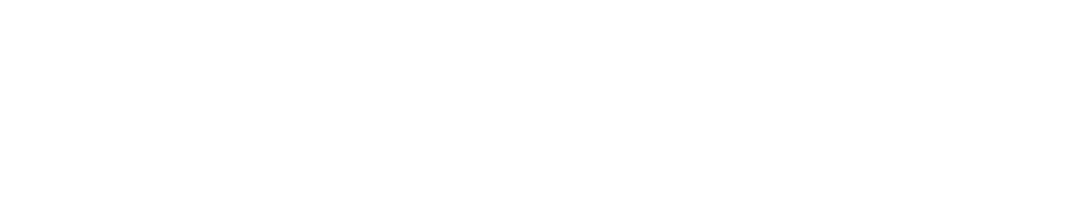 EBizCharge Integration with SAP Business One | SEIDOR