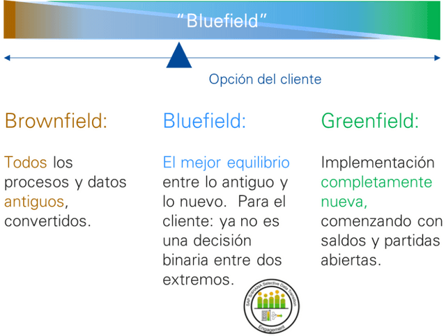 Bluefield Methodology for S/4Hana conversion | SEIDOR