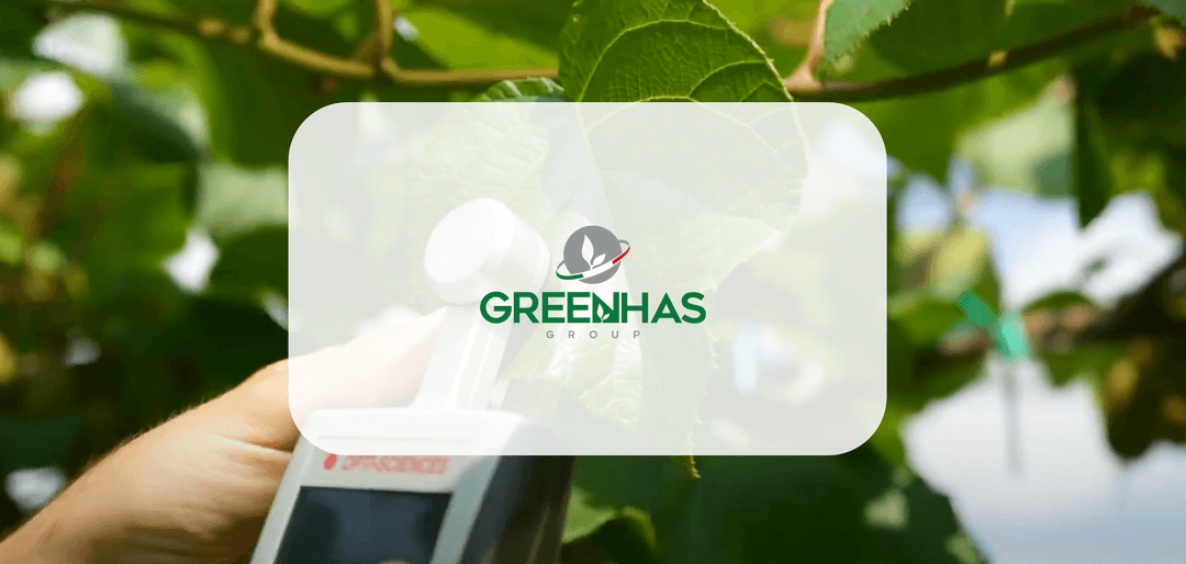 Green Has Iberia | SAP Business One | SEIDOR