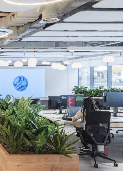 SEIDOR | Technology Consulting | SEIDOR