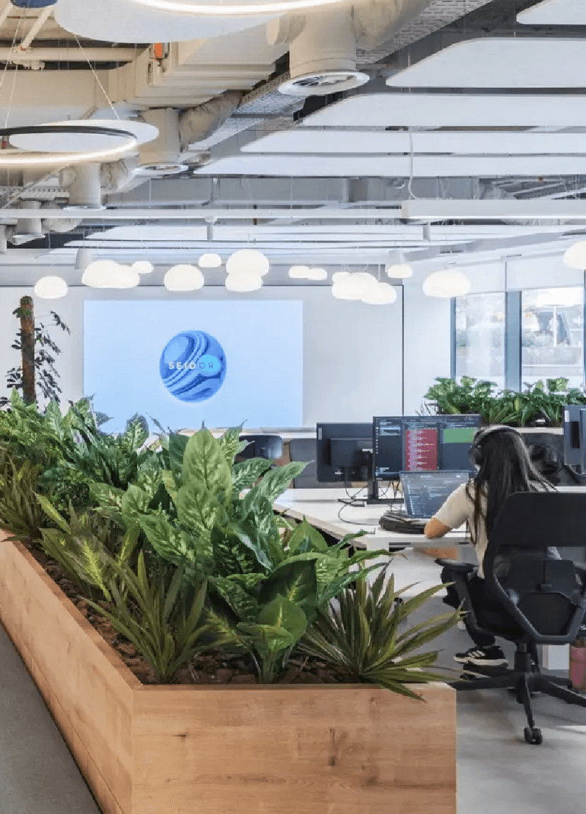 SEIDOR | Technology Consulting | SEIDOR